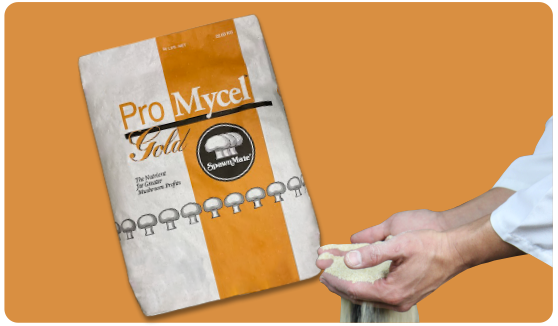 Commercial Mushroom Growing Products | Amycel and Spawn Mate